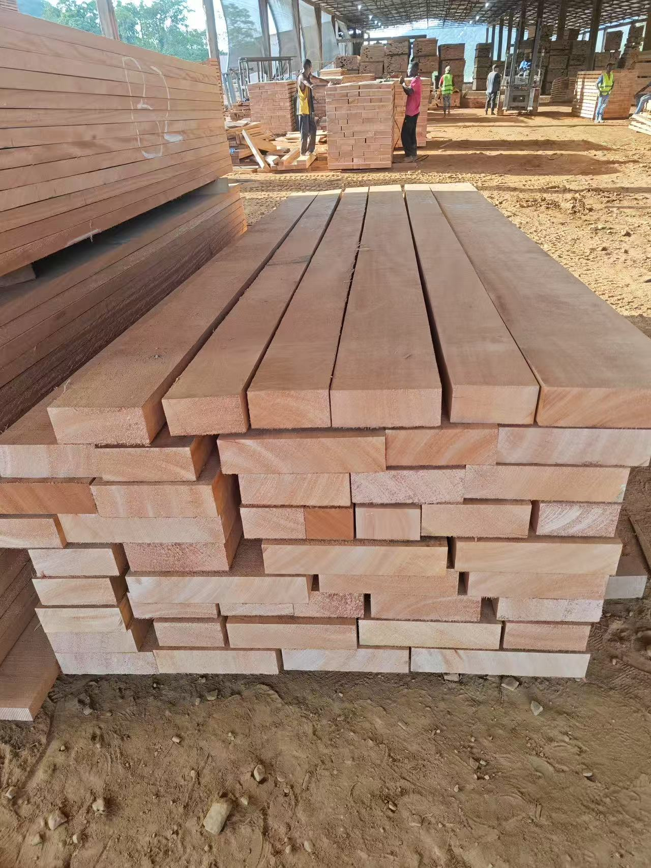 Okoumé (OKOUME): The King of African Timber, A Global Market Darling ...